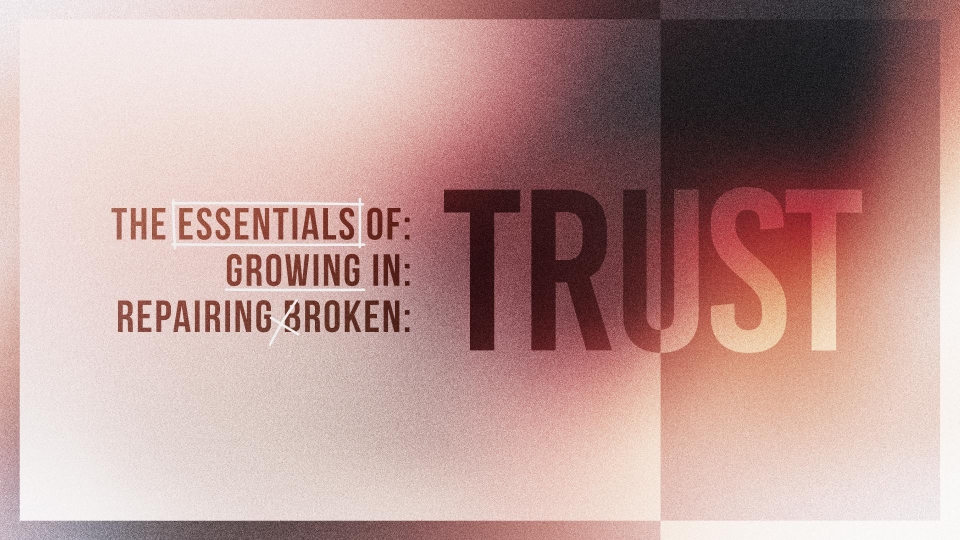 The Five Pillars of Trust: Understanding, Motive, Ability, Character ...